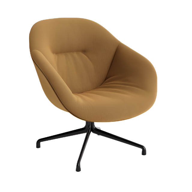 AAL 81 Soft – Design Story