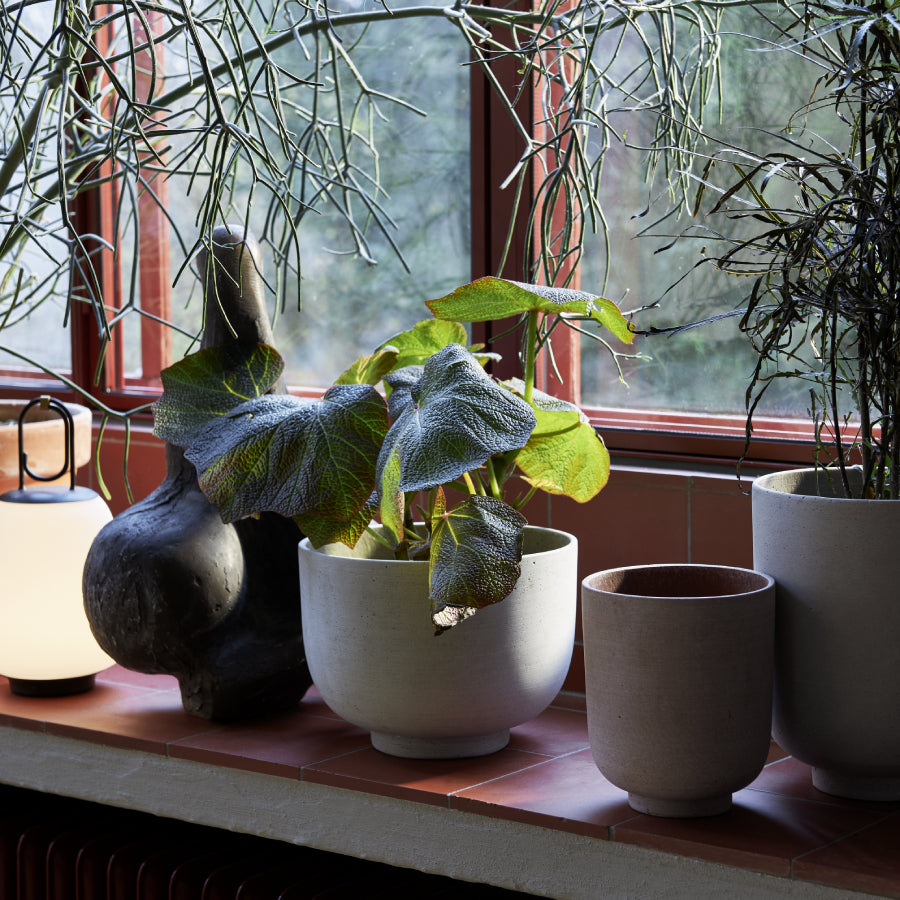 Collect Planter – Design Story